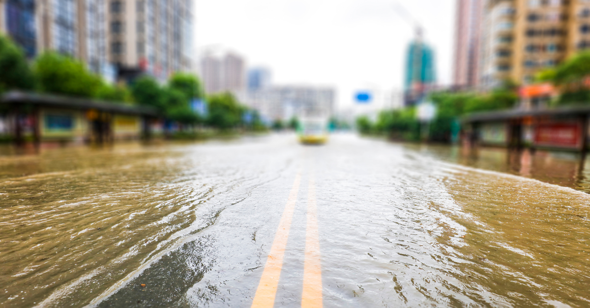 The International Day for Disaster Risk Reduction - Polygon Group