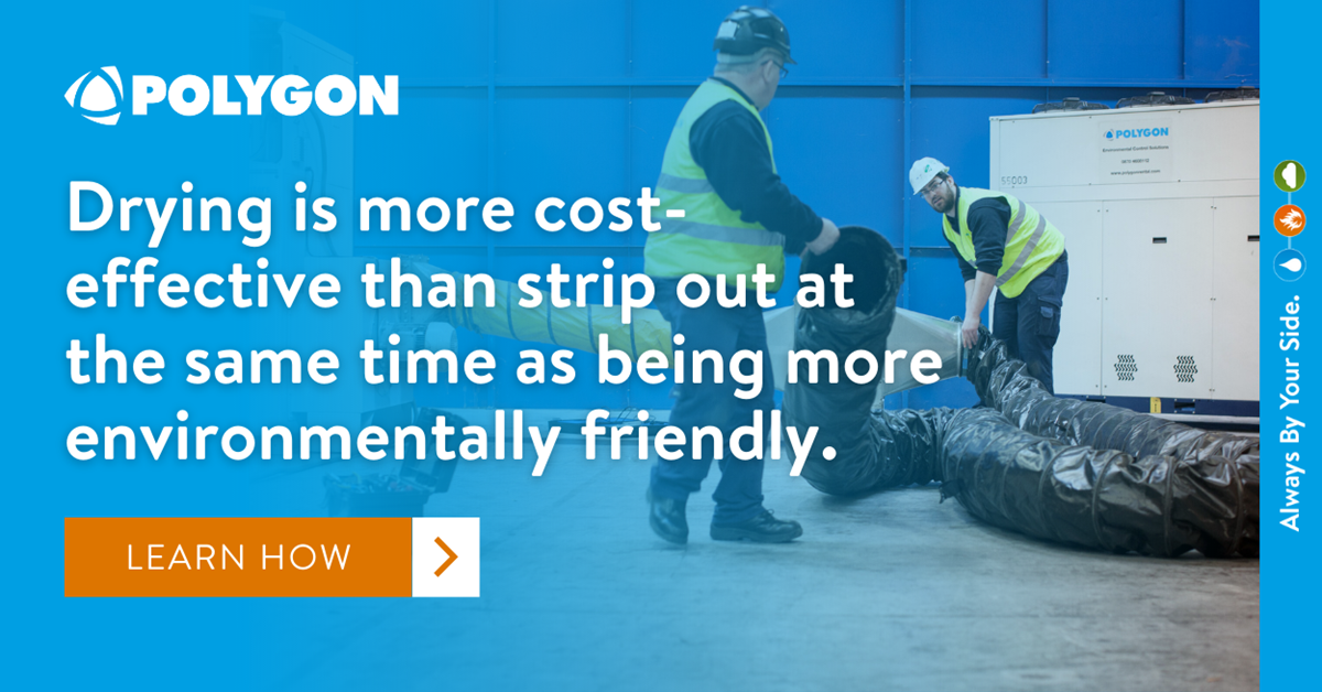 Drying vs stripping out: A comprehensive study - Polygon Group