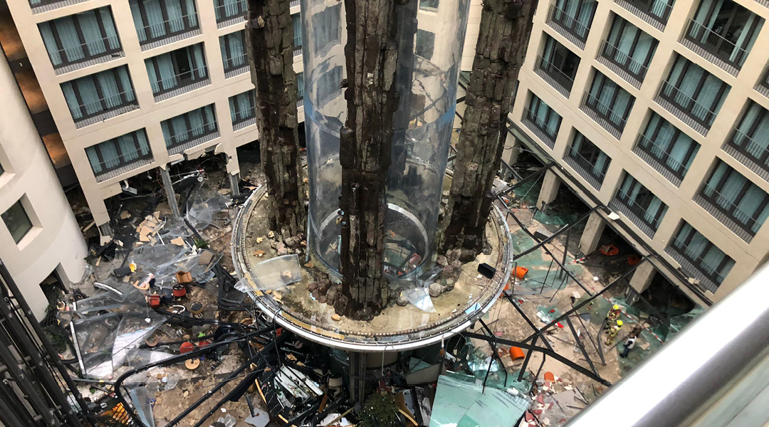 Dealing with the aftermath of the world’s biggest aquarium disaster ...