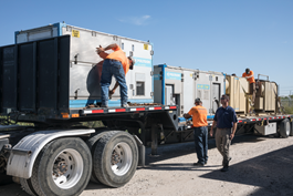 Can Mold Grow on Concrete? - Polygon