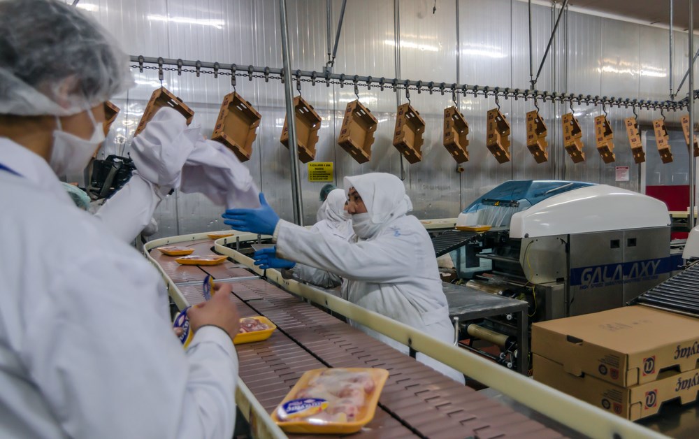 Infographic: Keeping Food Safe from Farm to Fork - Polygon Group