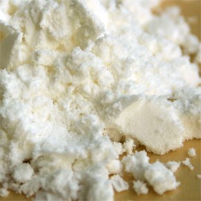 Powdered Goods & Insect Damage - Polygon Group