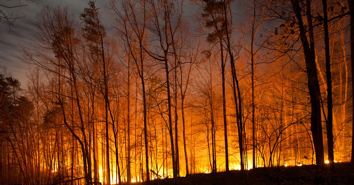 Be Ready for Fire Season - Polygon Group