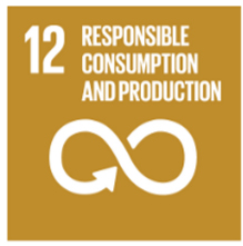 SDG 12 - Responsible production and consumption - Polygon Group