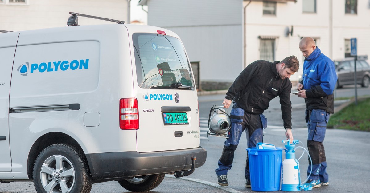 800 assignments in one week - Polygon Group