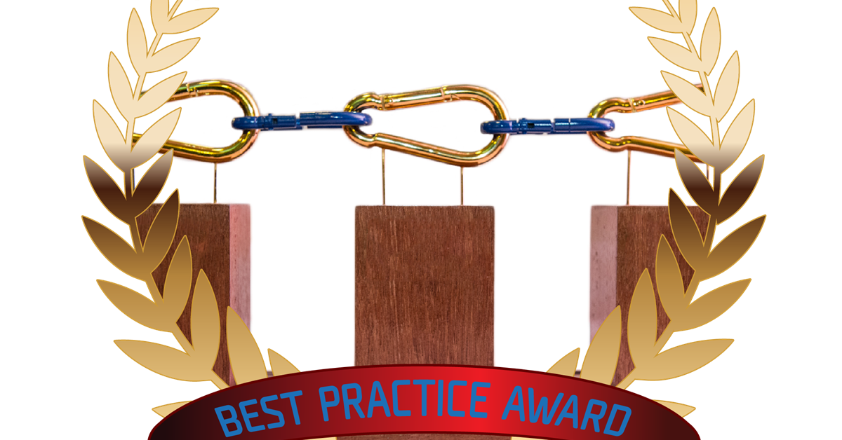 Stemmen Best Practice Award - Polygon Group