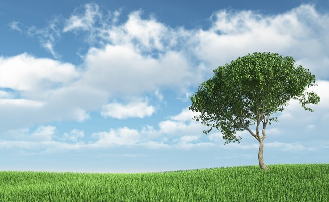 Polygon - Polygon Group