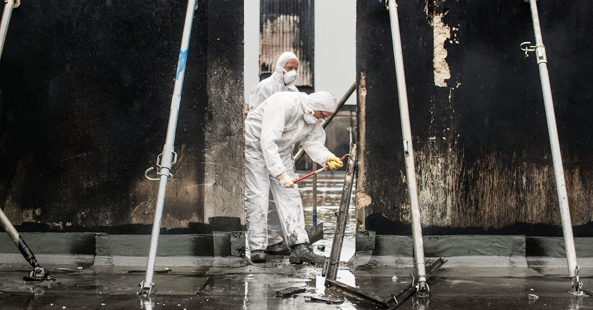 Nuestros servicios - Polygon Group